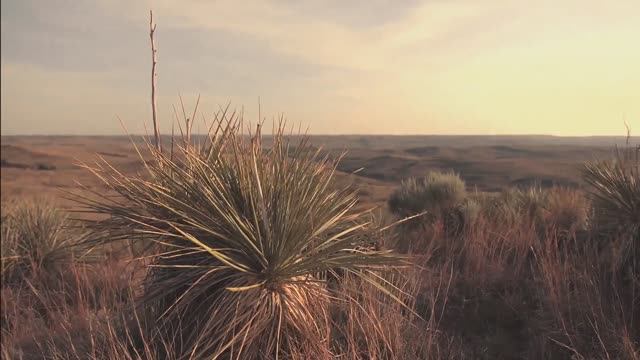 Ожидание любви