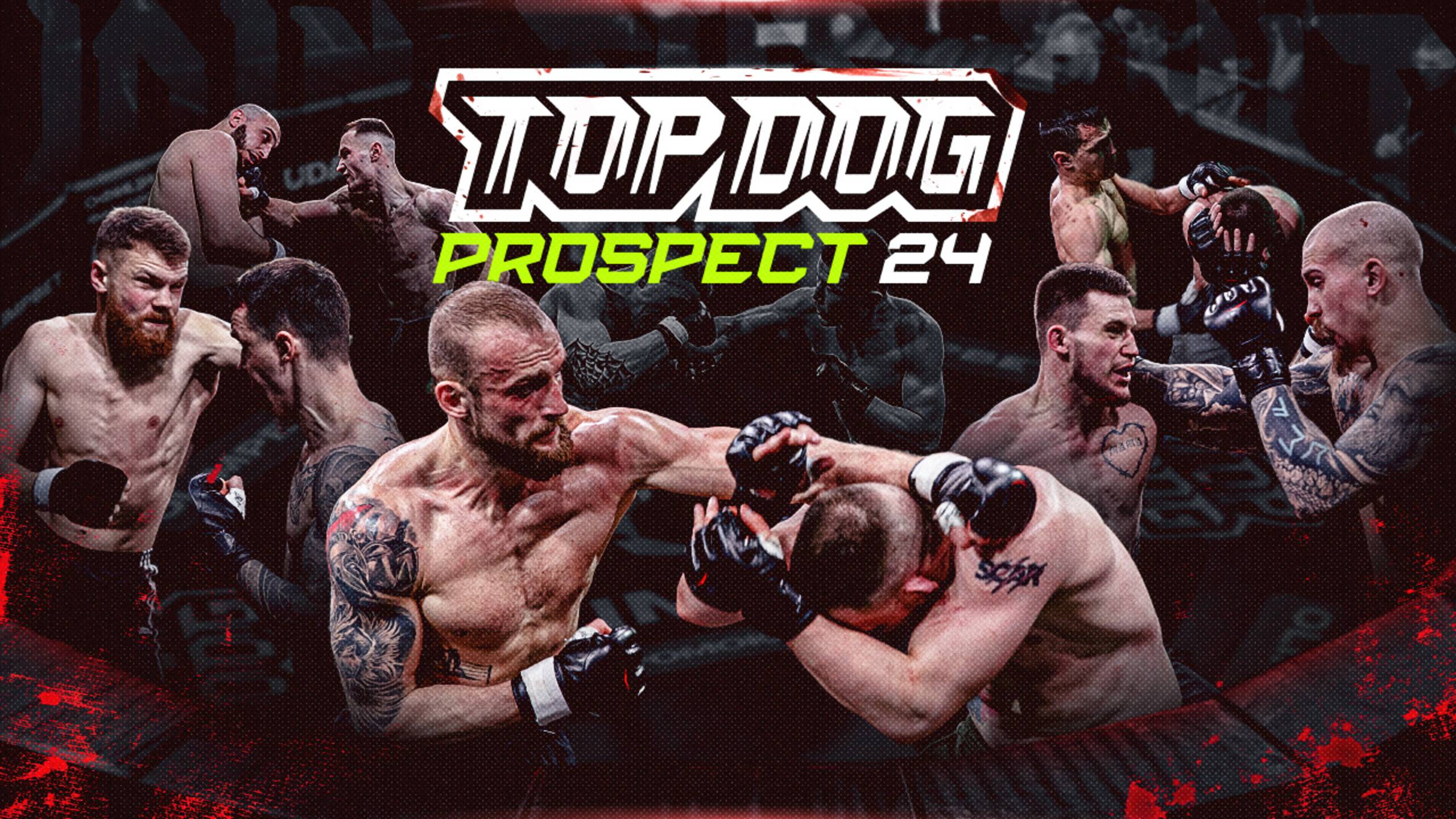 TOP DOG: PROSPECT 24, Владимир | Беркут VS Шрам, Папай VS Бронсон
