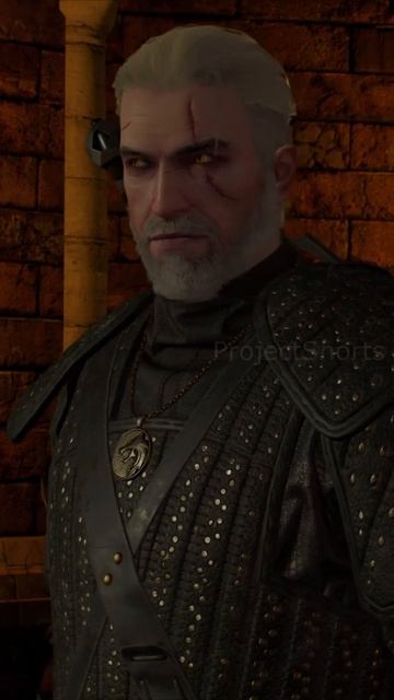 Это верно The Witcher 3  Ведьмак 3 shorts