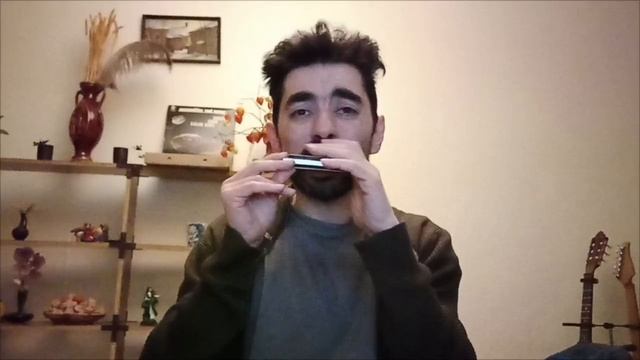 Импровизация в стиле Дефорда Бейли
#stratocastro