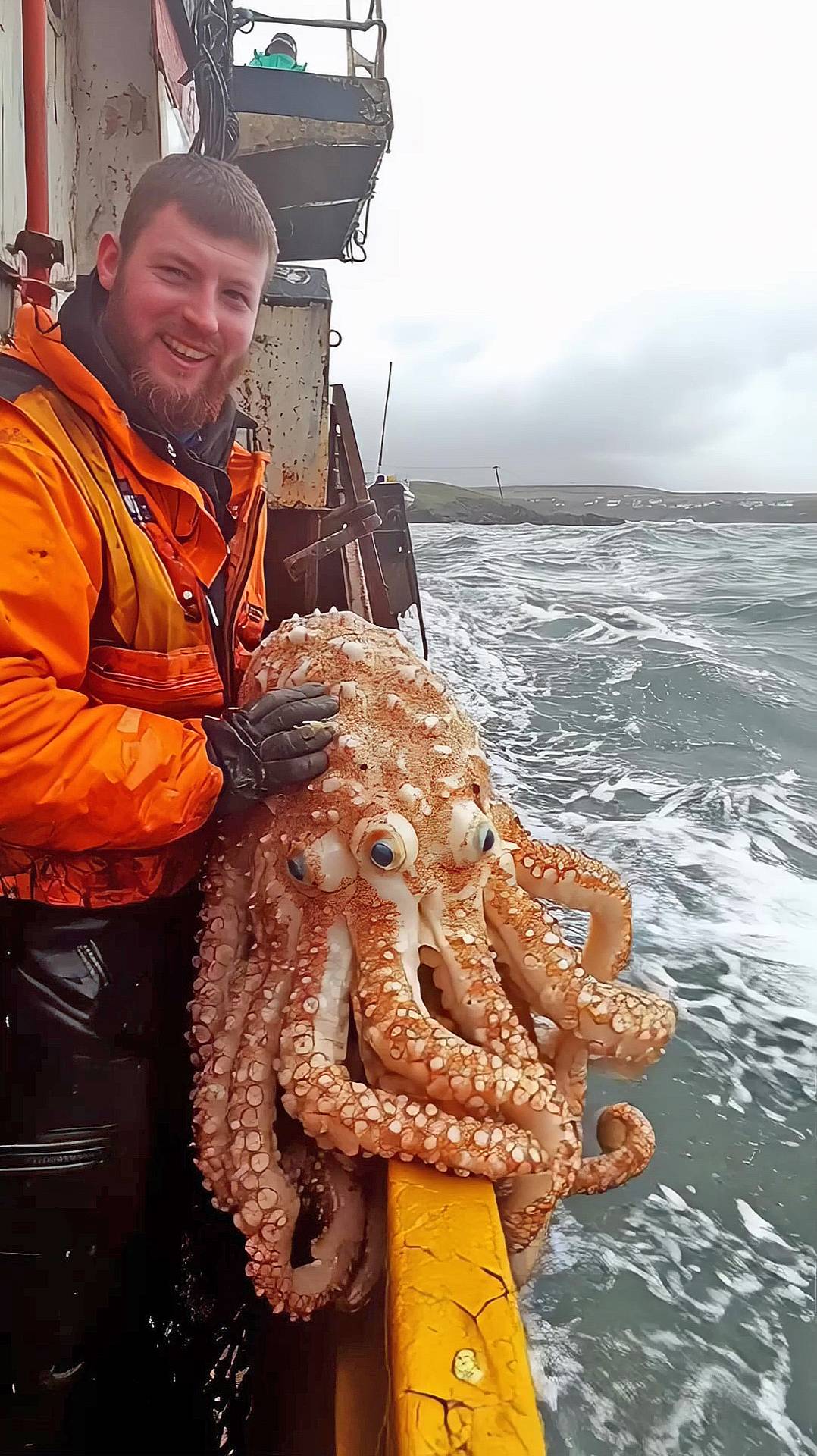 Трехглазый осьминог. Мутация или эволюция?