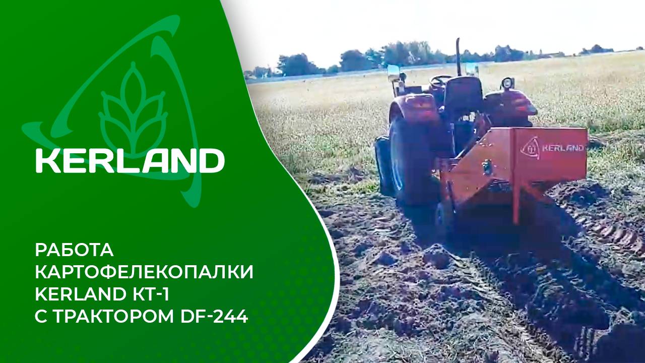 🔥 Картофелекопалка Kerland KT-1 в работе с трактором Dongfeng DF-244 G2