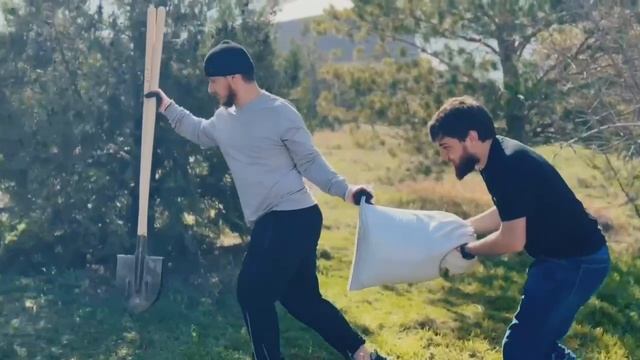 🌱Память в каждом ростке 🌱