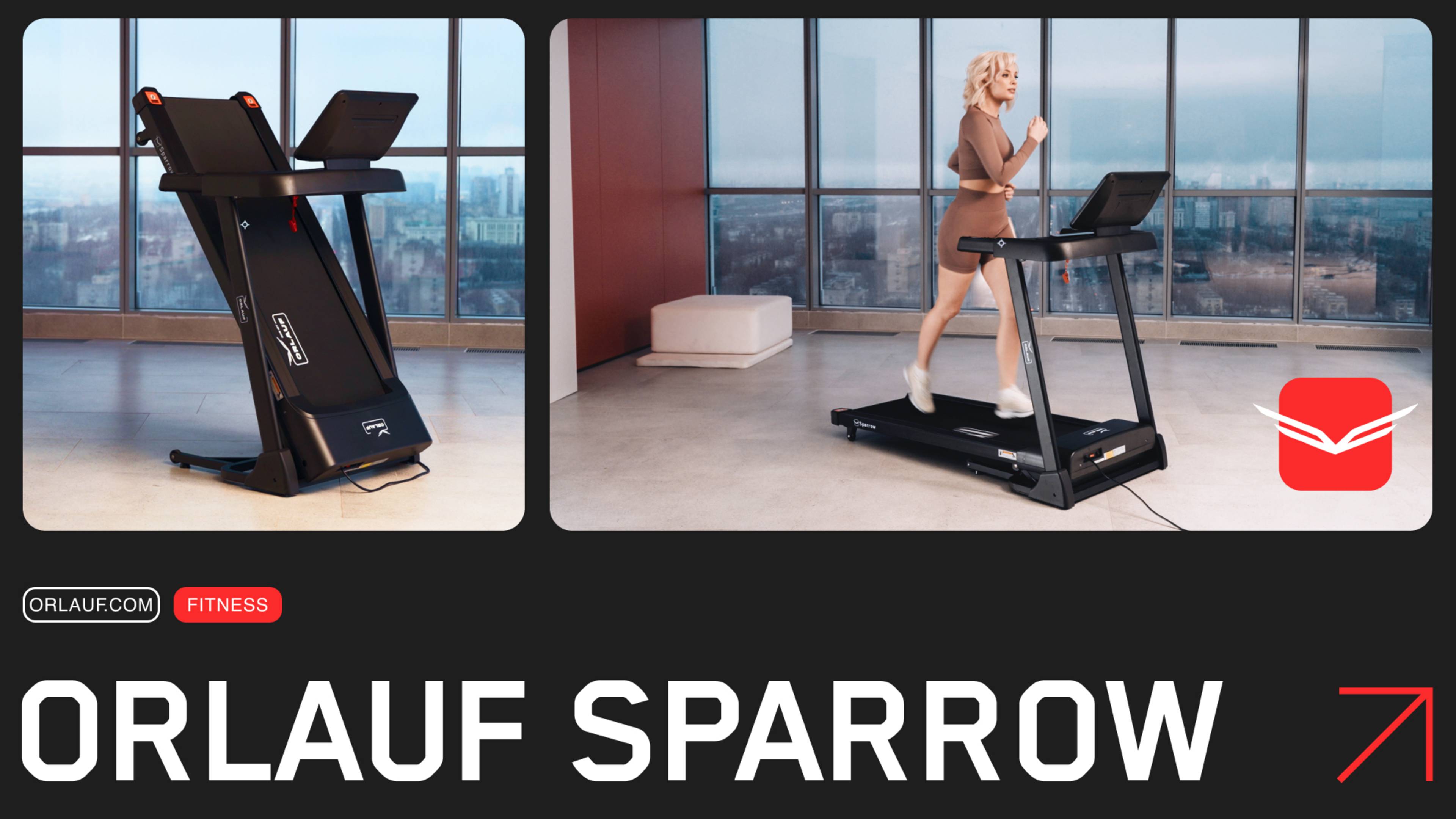 Orlauf Sparrow – беговая дорожка, созданная для динамичных тренировок
