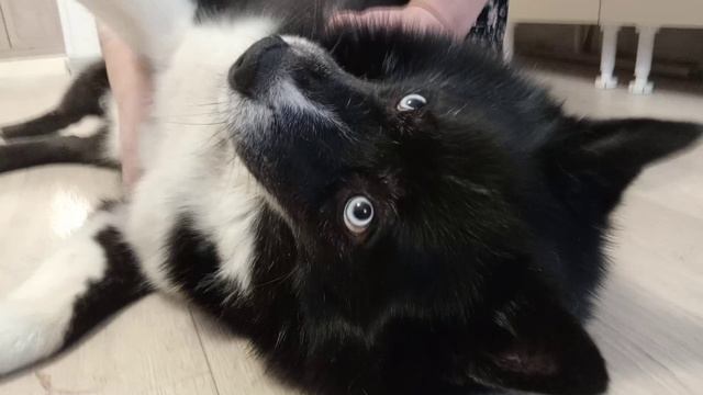 Кайфуем, сегодня мы с тобой кайфуем...