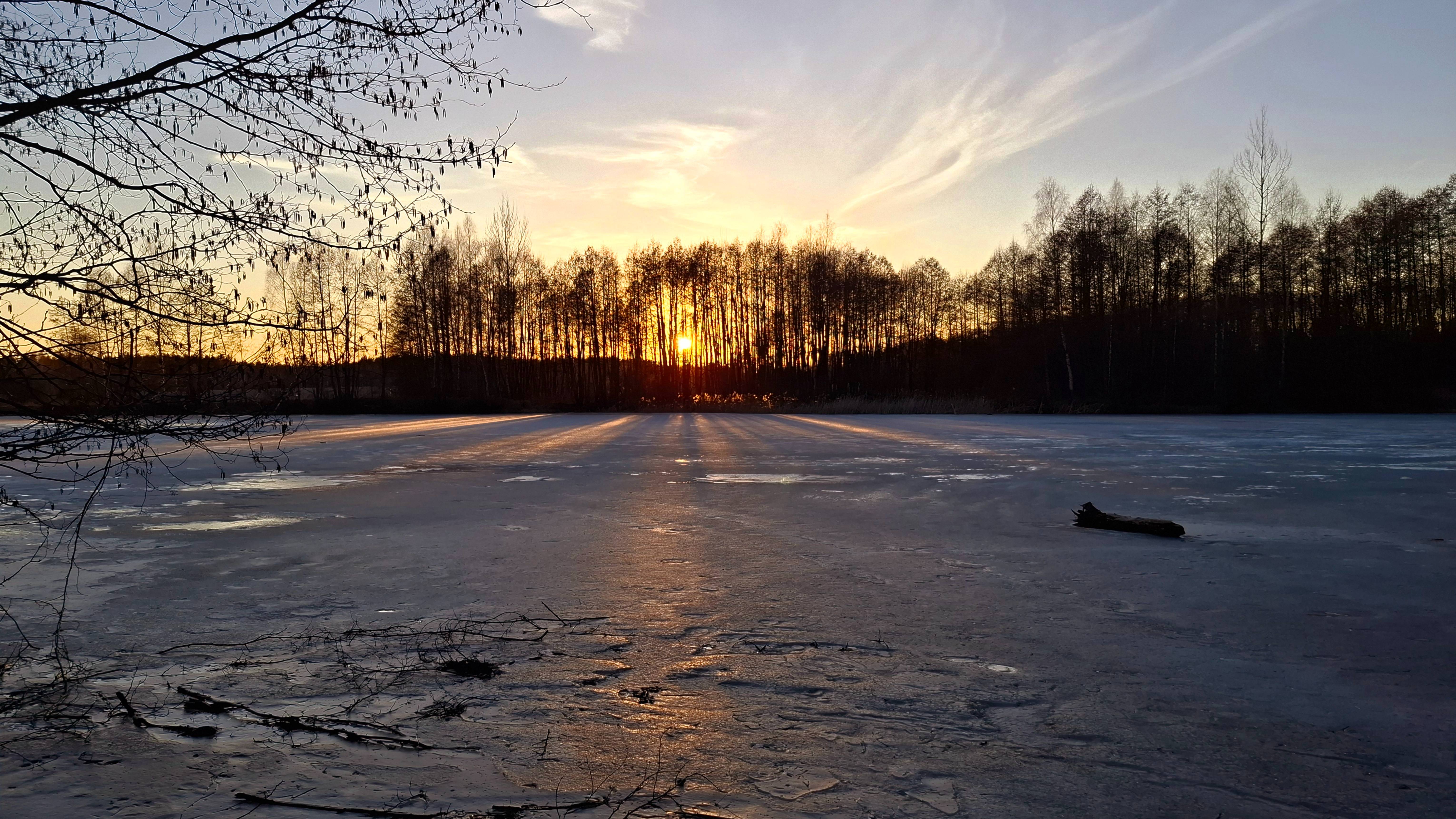 Выезд в Подмосковье. Март.