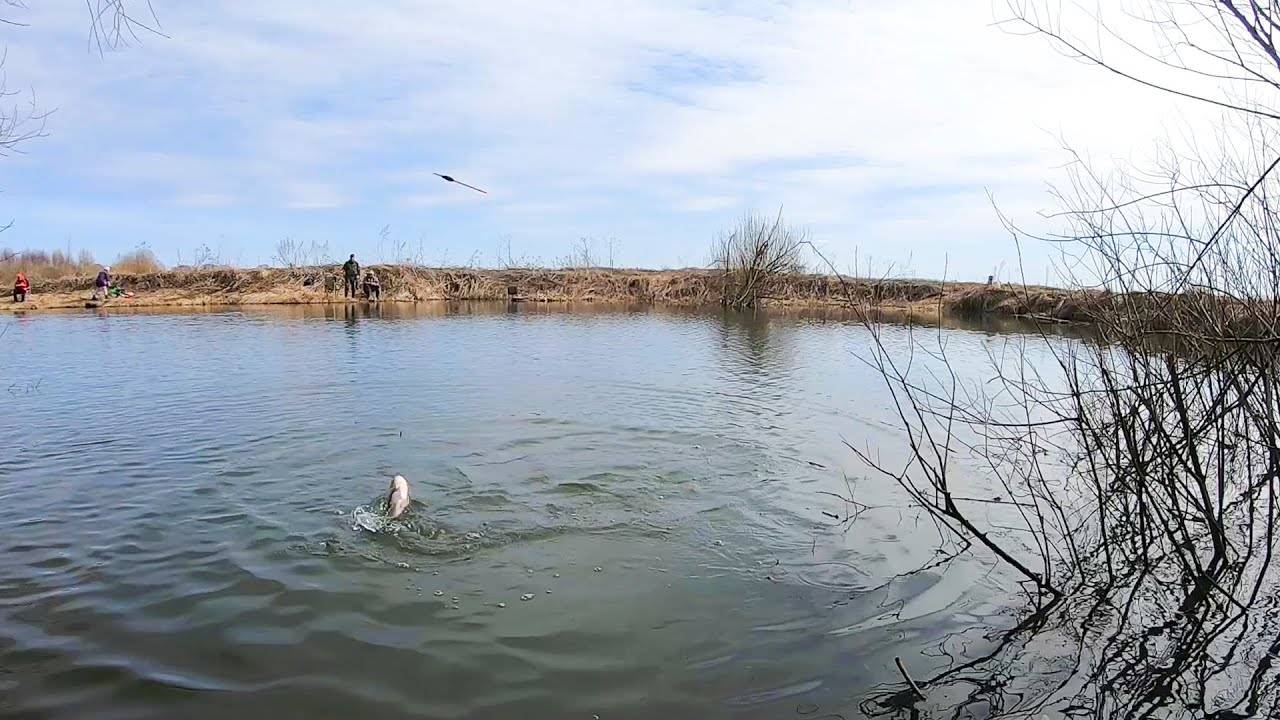 ОФИГЕТЬ КАК ОН ДАВИТ! У меня КРУПНЯК!  Карась на поплавок, рыбалка весной