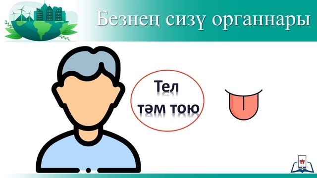 3 Әйләнә-тирә дөнья 1.1 (ЗһИ) - Безнең сизү органнары - теория