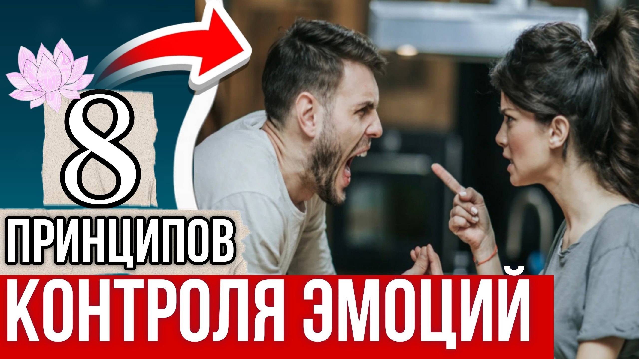 КАК УПРАВЛЯТЬ ЭМОЦИЯМИ - 8 принципов