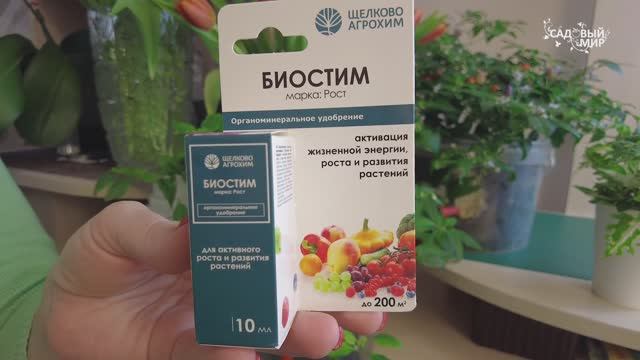 Причины неравномерных всходов перцев