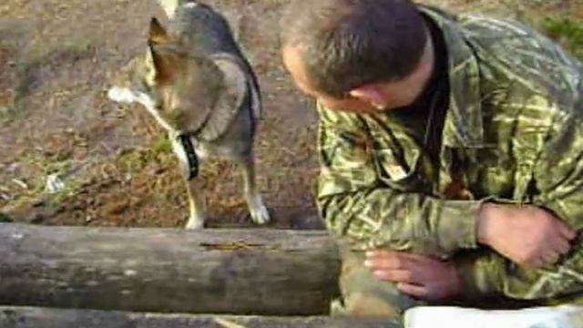 17.09-01.10.2008.СБОР ЯГОД ДЛЯ АРМИИ