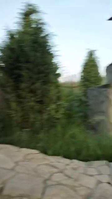 Родник и Крест (#Shorts)