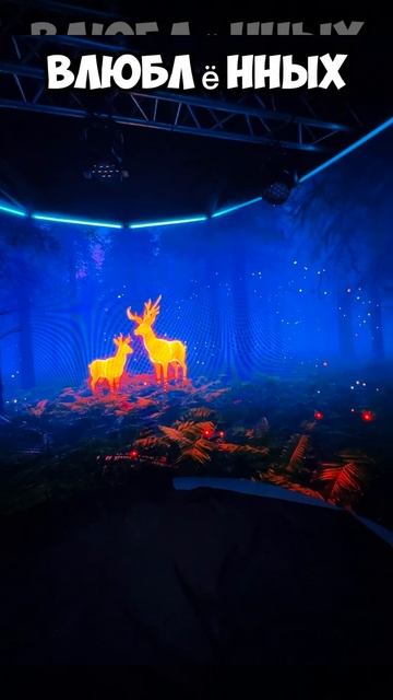 🌟 ПРАЗДНИКИ ПРЕМИУМ-КЛАССА ОТ  ZOTOV-EVENT.RU