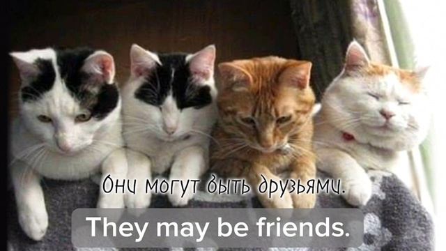 Модальные глаголы May и Might (Modal verbs May and Might).