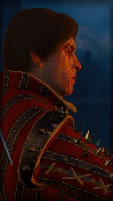 Каэр Морхен без Весемира The Witcher 3  Ведьмак 3 shorts