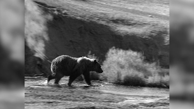 Ролик РОСГЕО английский