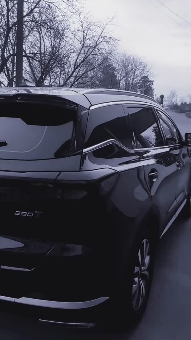 ЧЕРНЫЙ ТИГР Чери Тиго 7 про макс