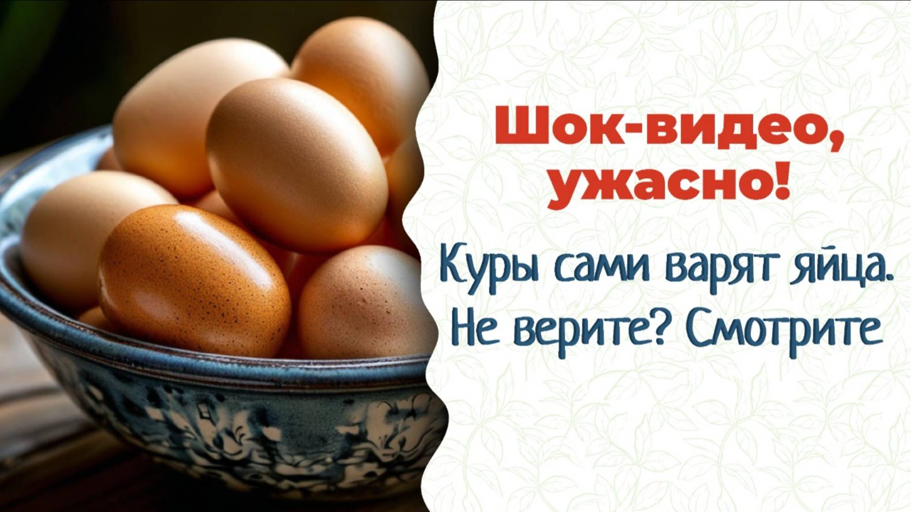 Биопрепарат Лежанка-Теплянка — переработка помета в удобрение, обогрев и …вареные яйца!