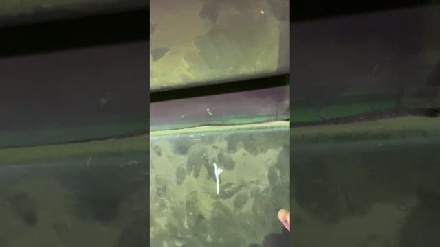 Промышленные Автоматические котлы Vulkan Max Duo 800