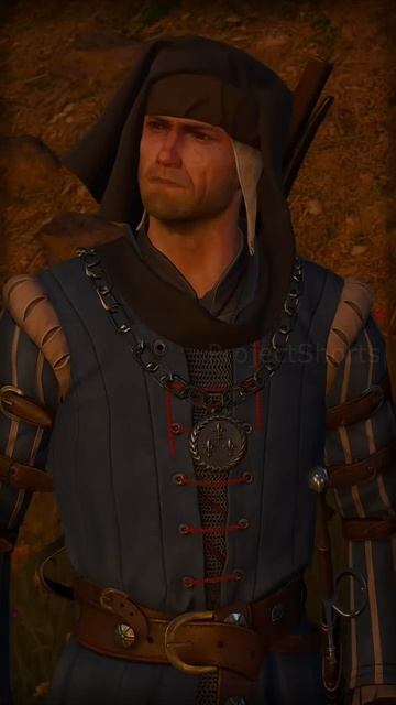 Теперь я видел всё The Witcher 3  Ведьмак 3 shorts