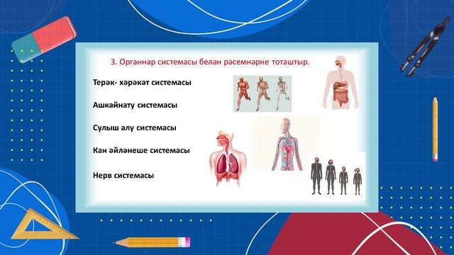 3 Әйләнә-тирә дөнья 2.2 (ЛР) - Органнар системасы - практика