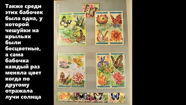 Сад бабочек. Часть вторая.