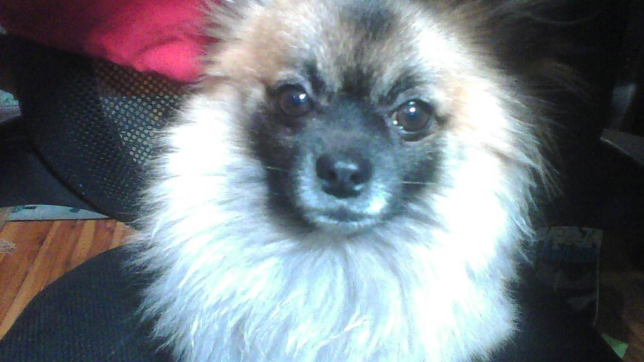 как установить шейдеры в майнкрафте!!!!✅✅