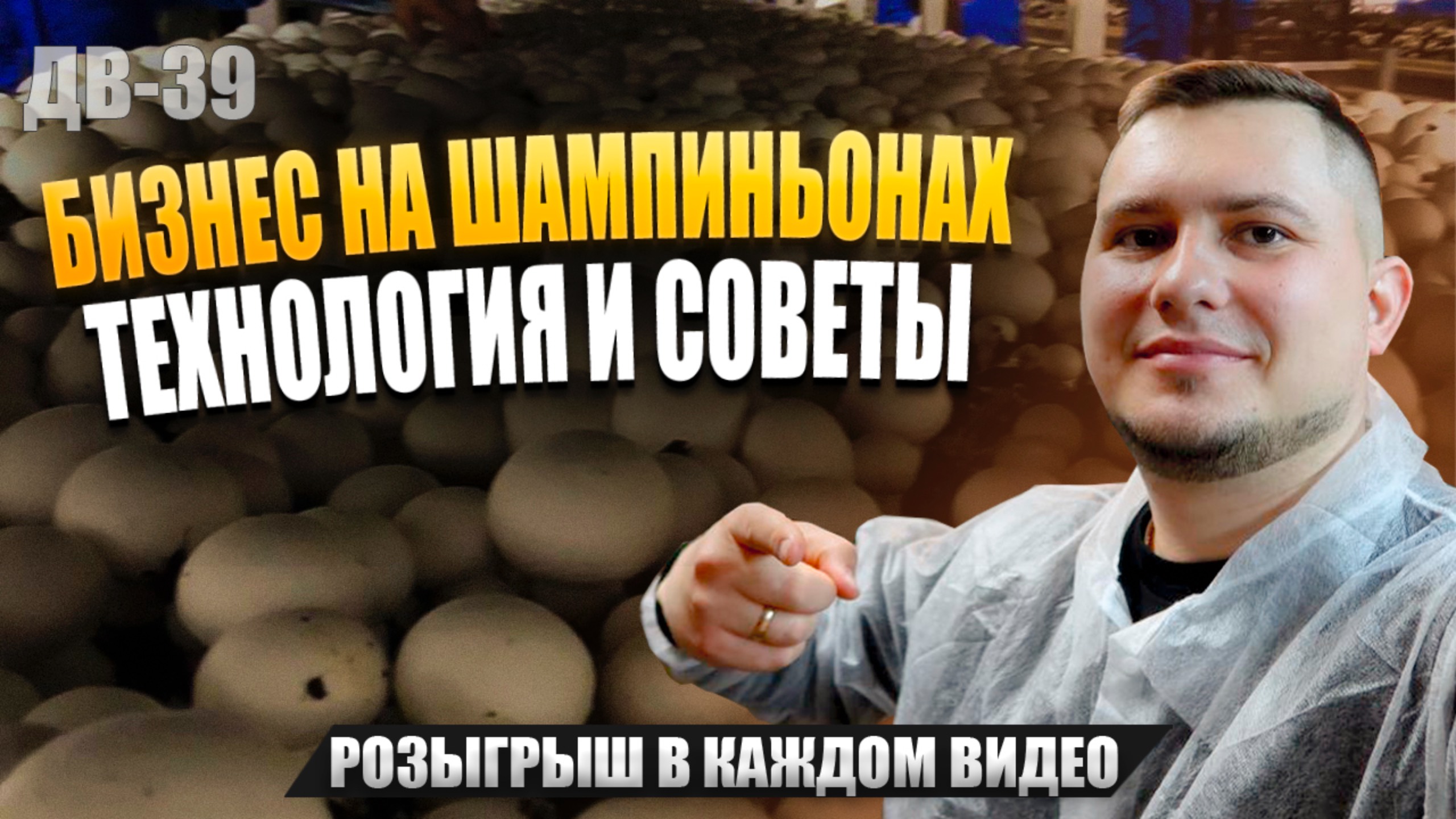 ВЫРАЩИВАНИЕ ШАМПИНЬОНОВ КРУГЛЫЙ ГОД | ДВ39