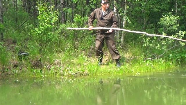 ✅📥 2022г. Видео с Ютюб . Рыбалка на паук Ловля живца, карасик ,гольян. Мошки ,комары, всё круто