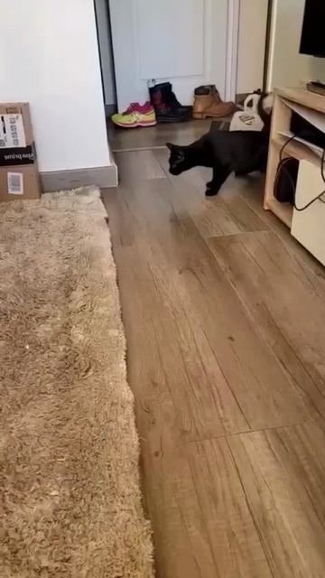 Этот ковер очень опасен