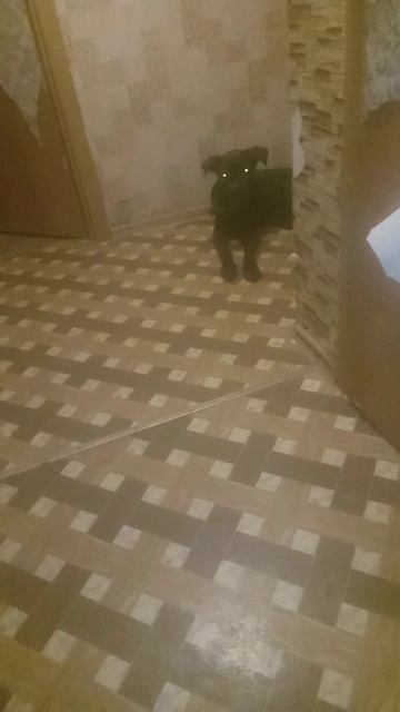 7 месяцев Аббат