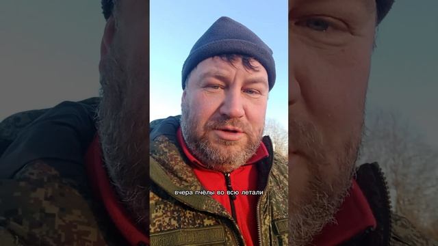 Перепад в 30 градусов #ярославльпогода #погодаярославль #погода30градусов #погодав30 #градусперепад