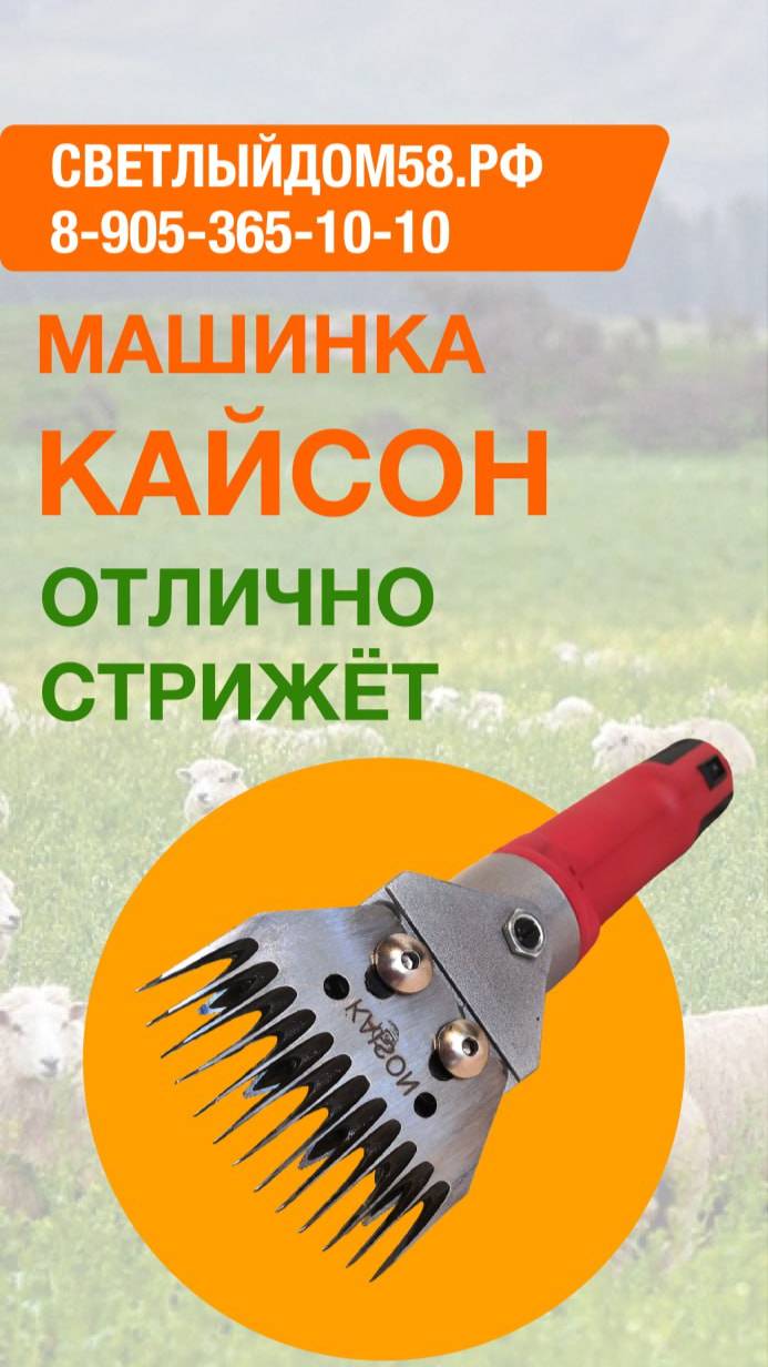 Надёжная машинка Кайсон. Видео стрижки овцы машинкой Кайсон от надежного продавца Светлыйдом58.рф