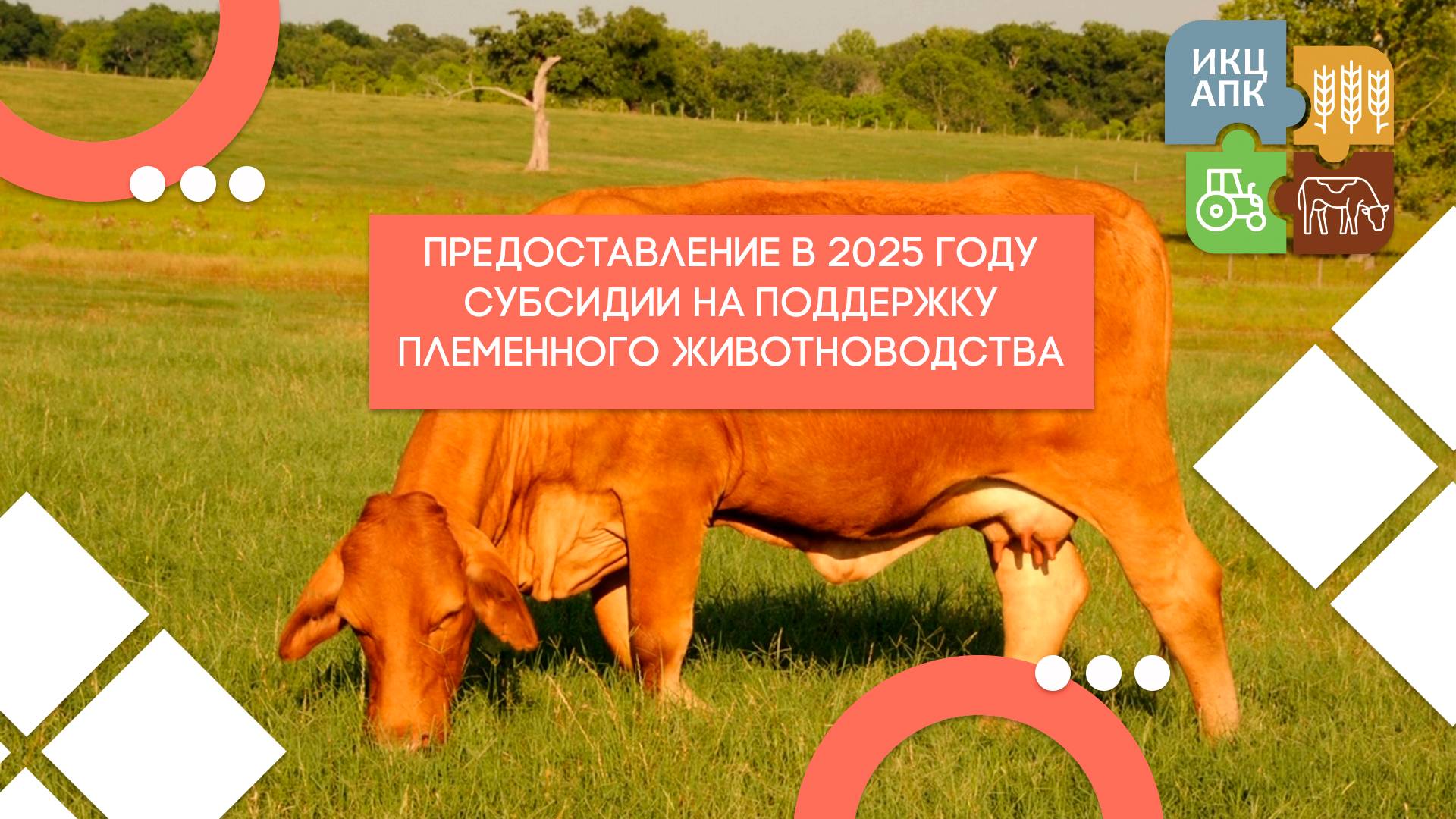 Запись семинара от 24 марта 2025 года