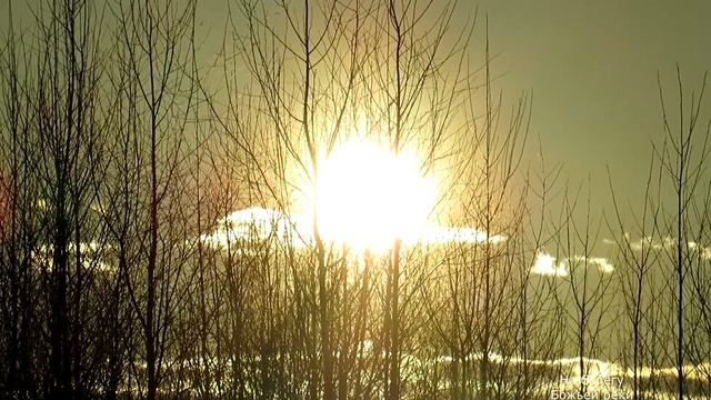 Памяти о.Илия.mp4