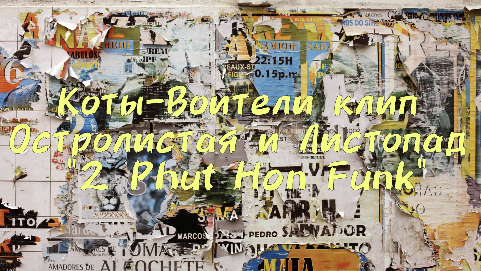 Коты-Воители клип Остролистая и Листопад "2 Phut Hon Funk"