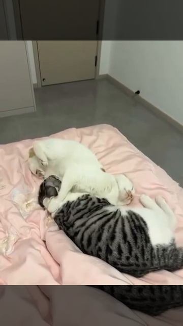 Закон сохранения энергии