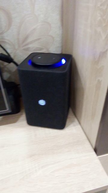 серая птичка по китайски