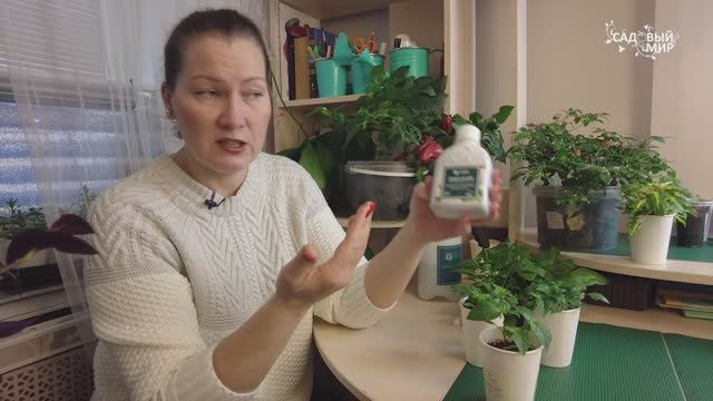 Подкормка всех домашних культурных растений