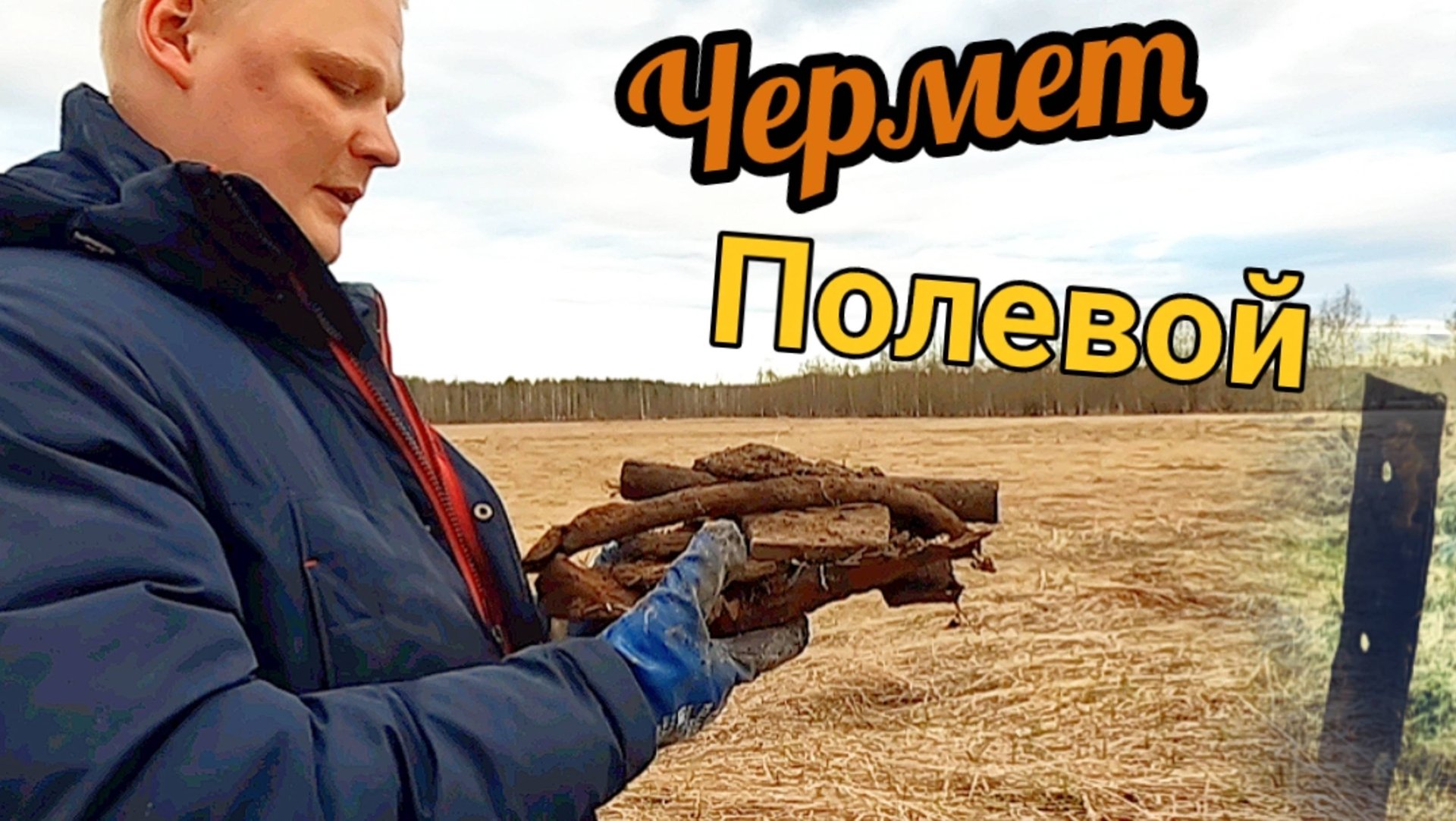 Коп металлолома на железных полях