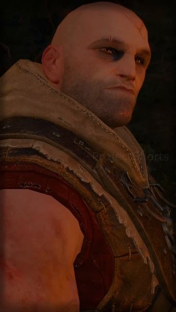 Было нелегко The Witcher 3  Ведьмак 3 shorts