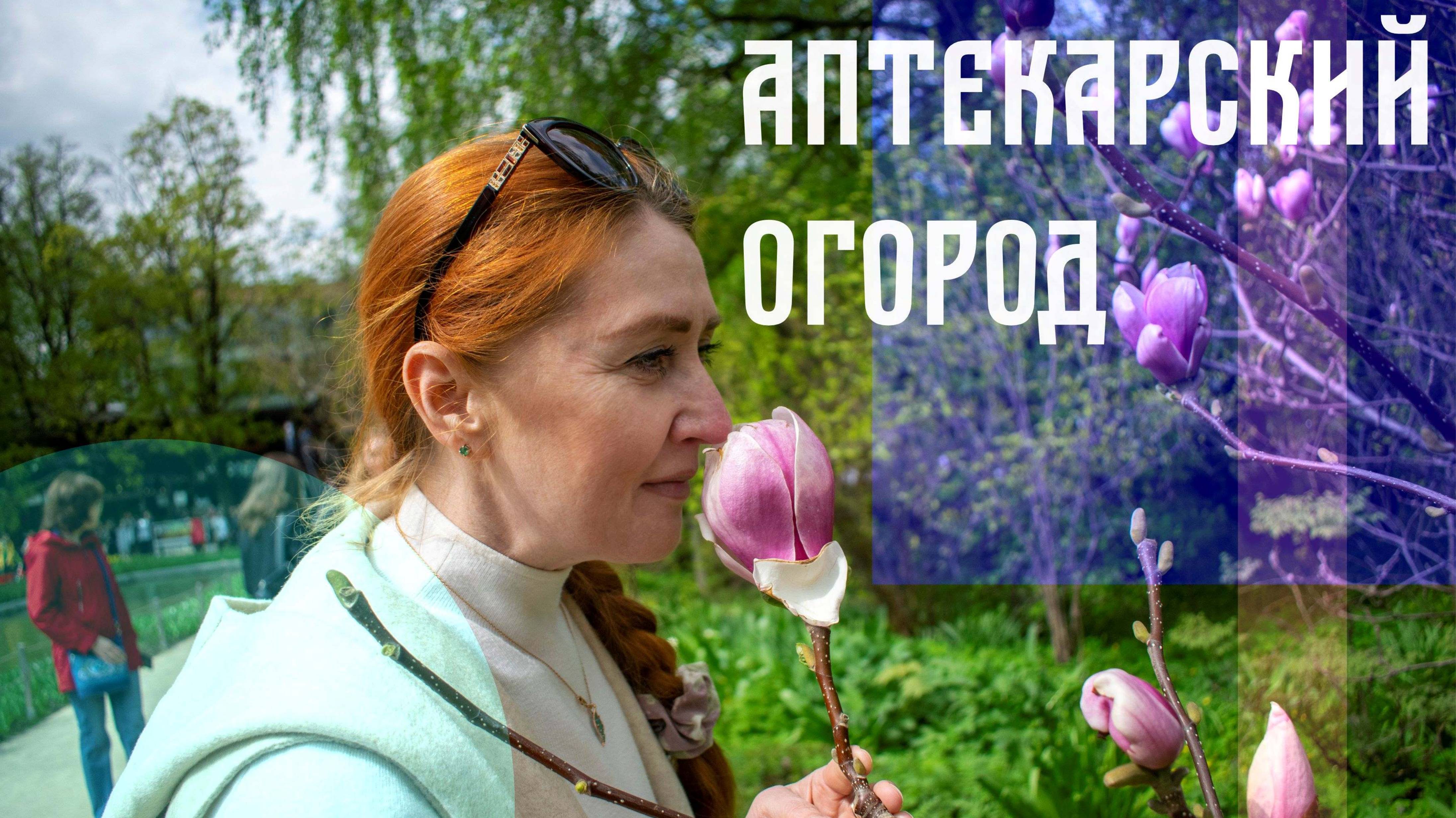 Ботанический сад «Аптекарский огород»