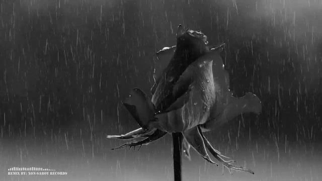 Yulduz Usmonova - Yuragimdasan 2025 | Юлдуз Усмонова - Юрагимдасан 2025 | Remix by #XonSaroy