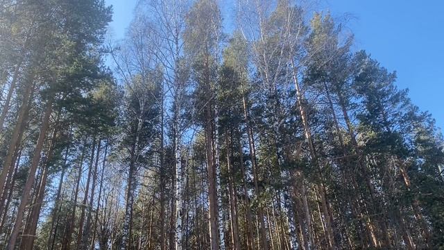 Relax. Безмятежность