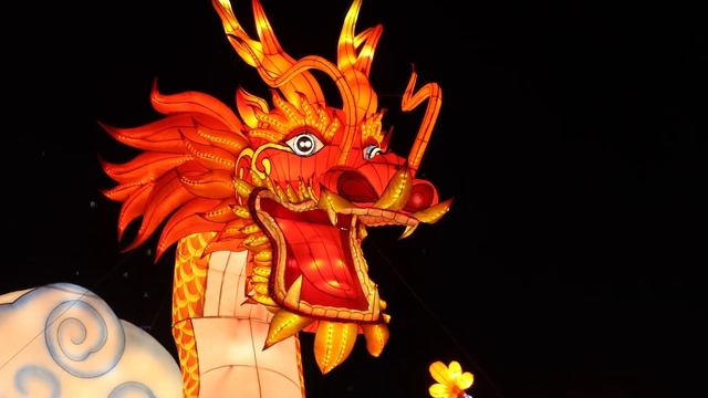 13200746_1920_1080_30fps