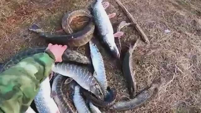 ЗАЖДАЛИСЬ ВЕСЕННЕЙ ЩУЧКИ!!! РЫБАЛКА НА ПАУК подъёмник!