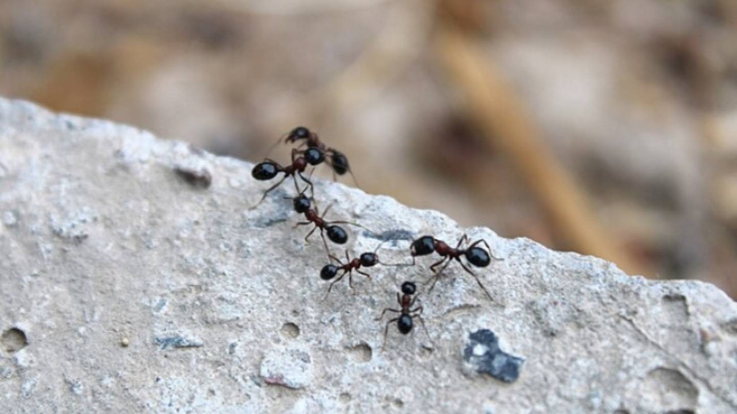 неинтересное видео