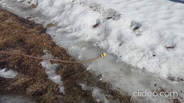 Посадили Редиску , накачали Бочку воды для Полива .26 марта 2025 года