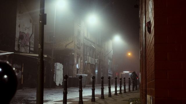 13005331_3840_2160_24fps