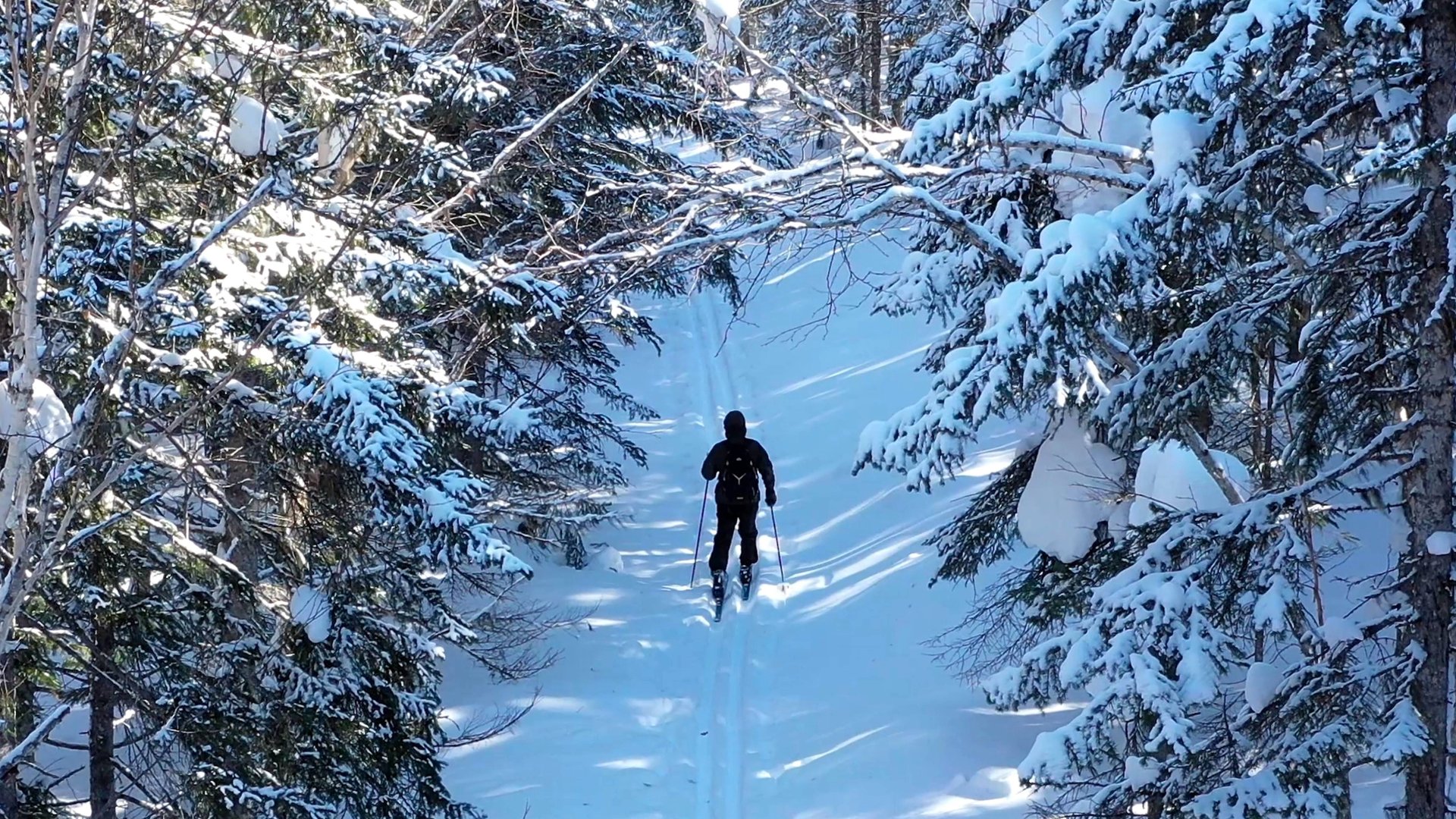 Прогулка на лыжах по мартовскому лесу